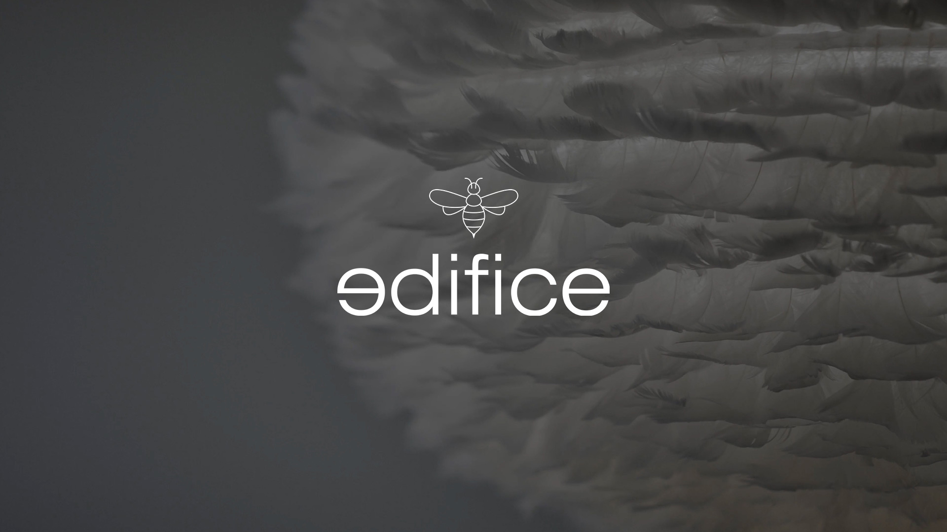 Edifice - Home